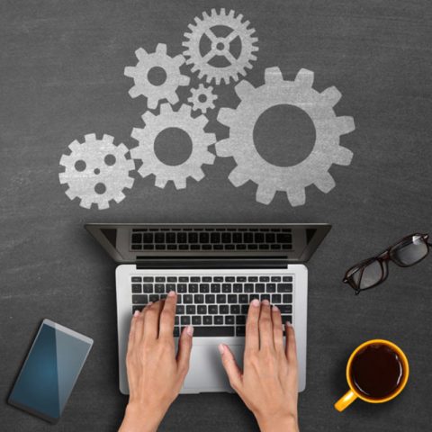 BigLever PLE Insight Newsletter - BigLever Software, Inc.